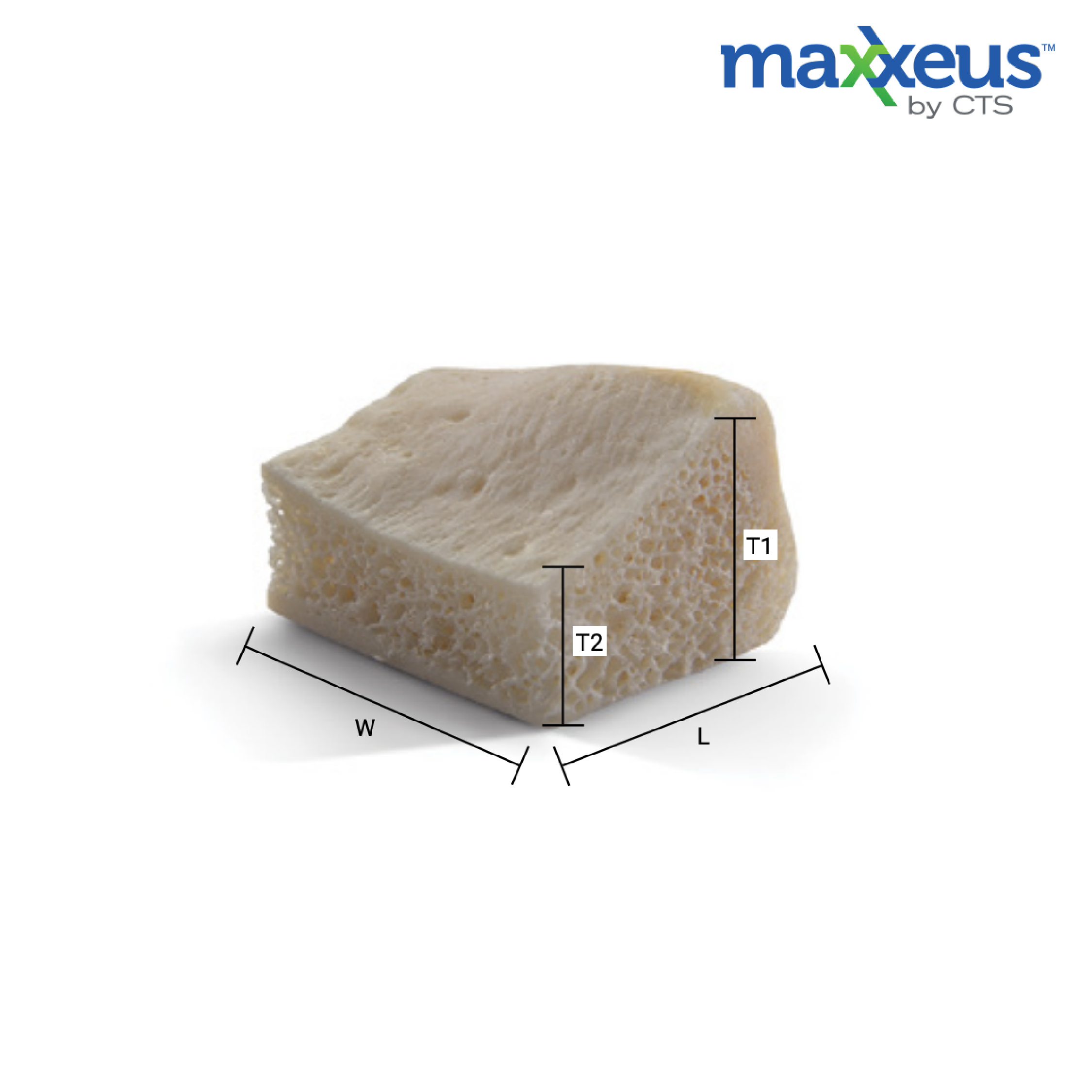 BLOQUE TRICORTICAL BLOCK A 1.1-1.4CM X 3CM 1032-12 - Equitec